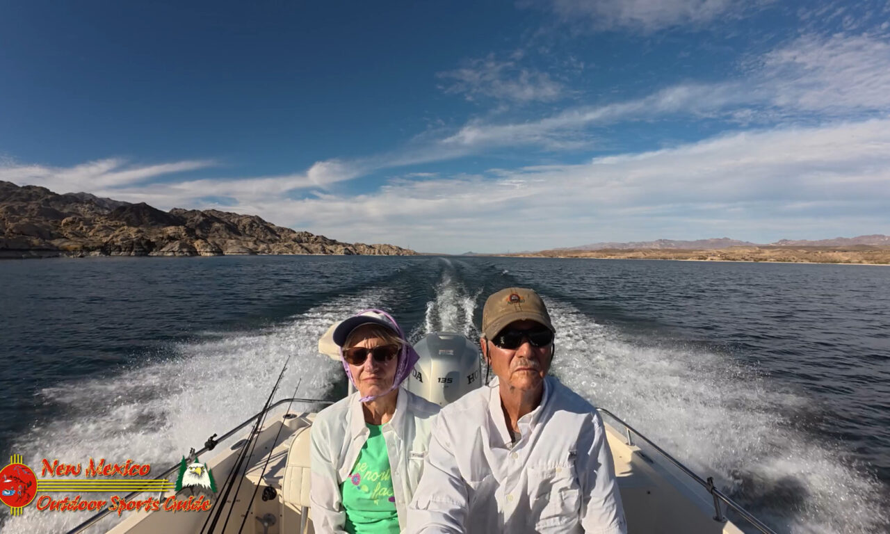 Lake Mohave Guide